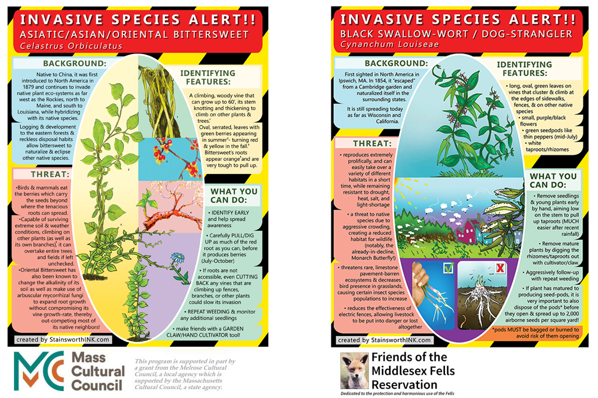 Stainsworth Ink | Creative Consulting, Imaginative Visuals and Concept Art